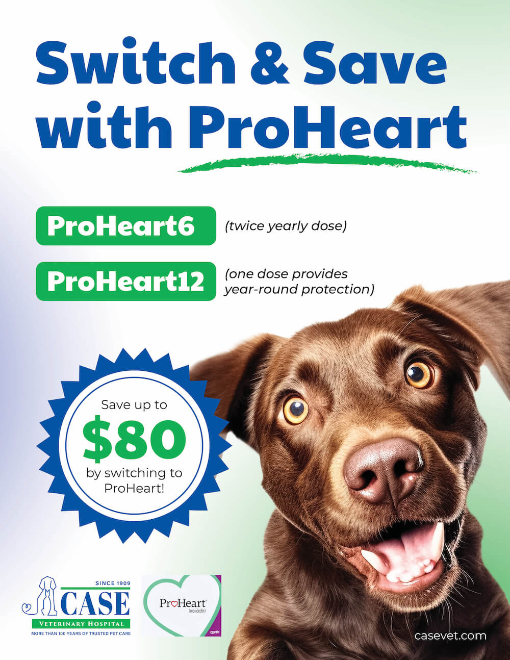 Promotions | Case Veterinary Hospital