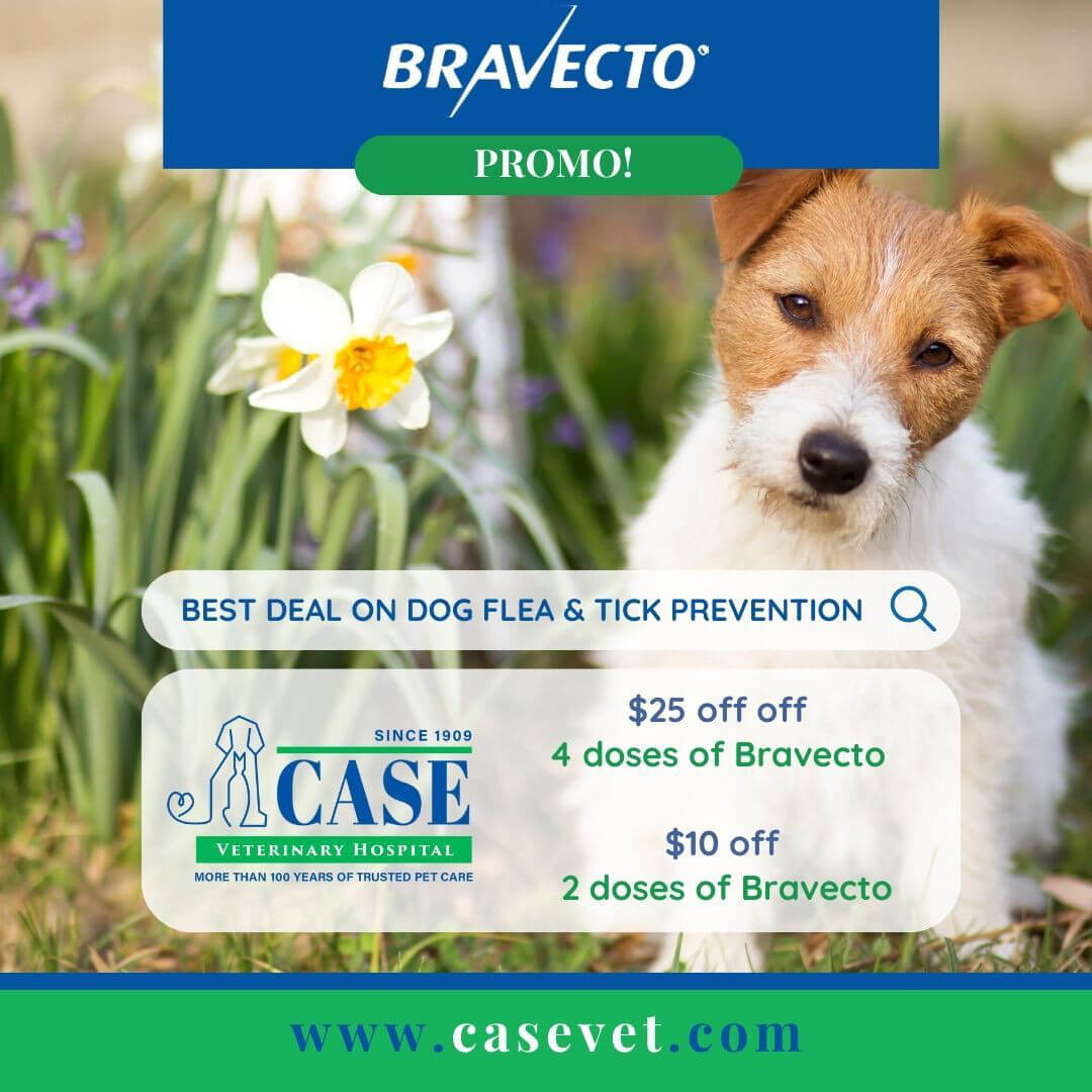 Promotions | Case Veterinary Hospital